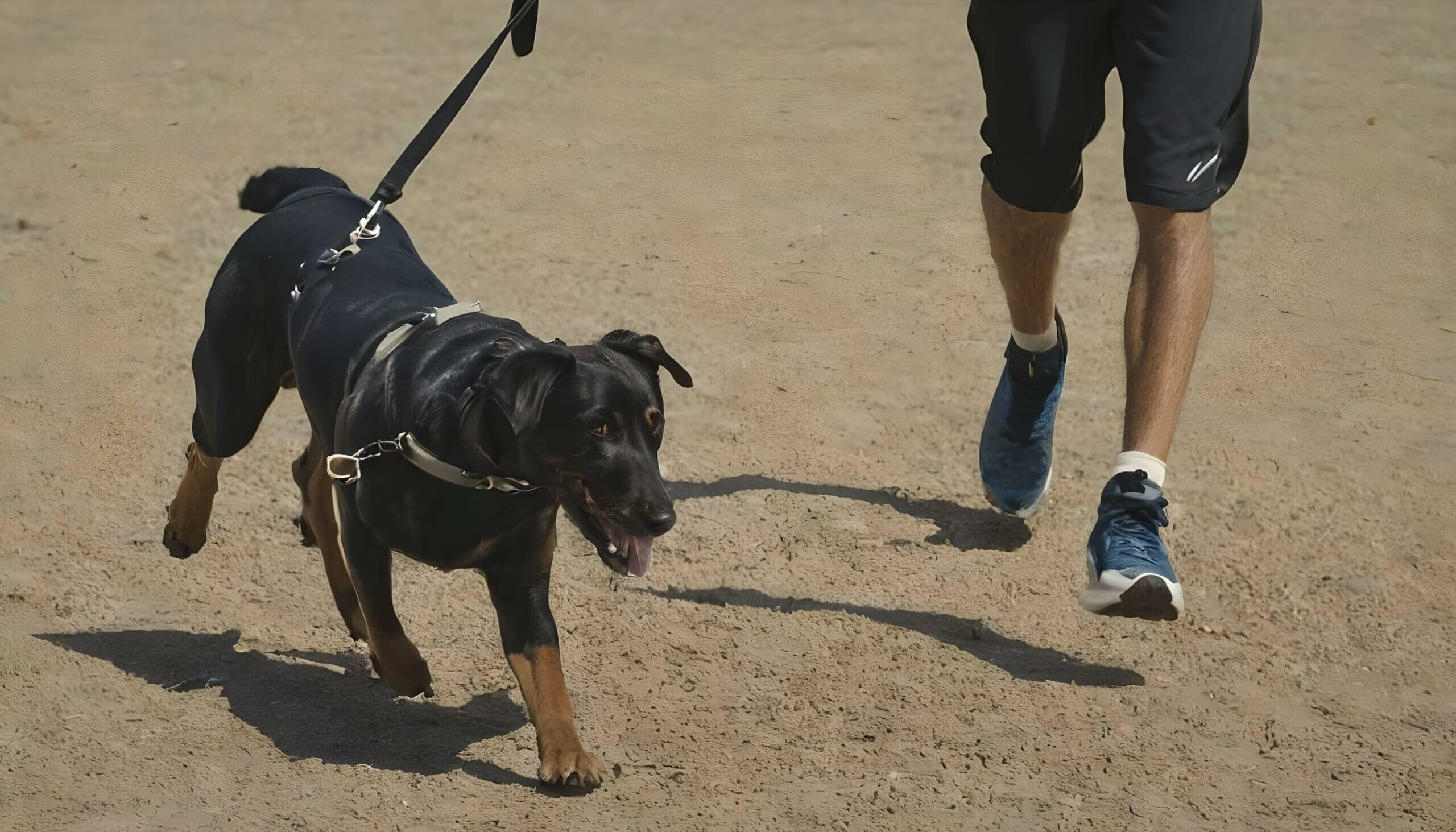 10 Pet Chores Kids Can Handle: Teaching Responsibility Through Simple ...