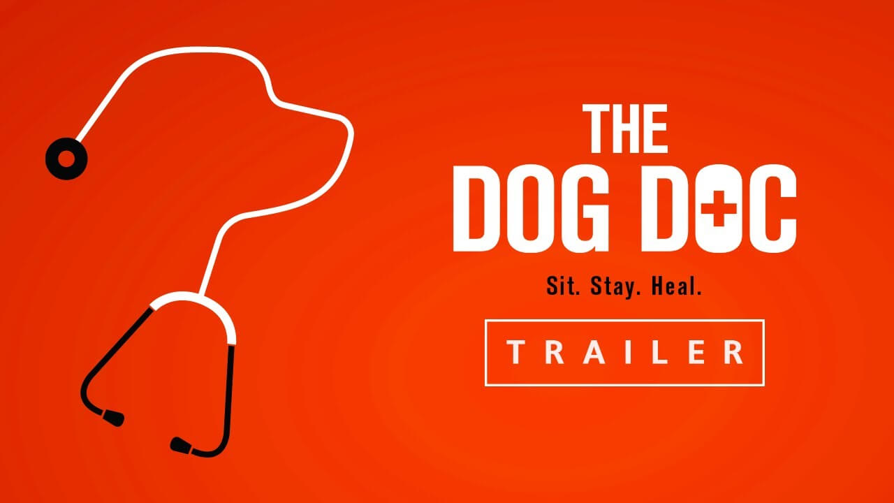 The Dog Doc Documentary: A Must-See for Every Dog Owner - Pets For Children